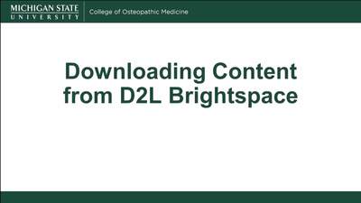 How to Download Content from D2L - MSU MediaSpace