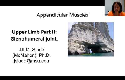 UL Muscle Part II.mp4 - MSU MediaSpace