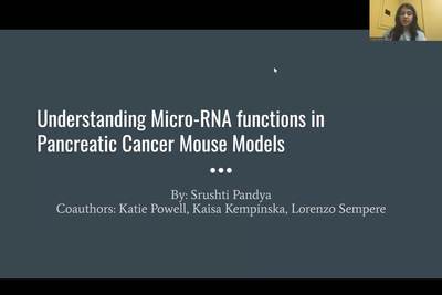Understanding Micro RNA functions in PDAC mouse models - MSU MediaSpace